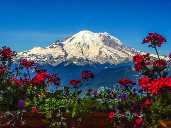 Tony Porter - Art for Sale | Pixels Merch