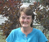 Kate Gallagher - Official Art Shop | Pixels Merch