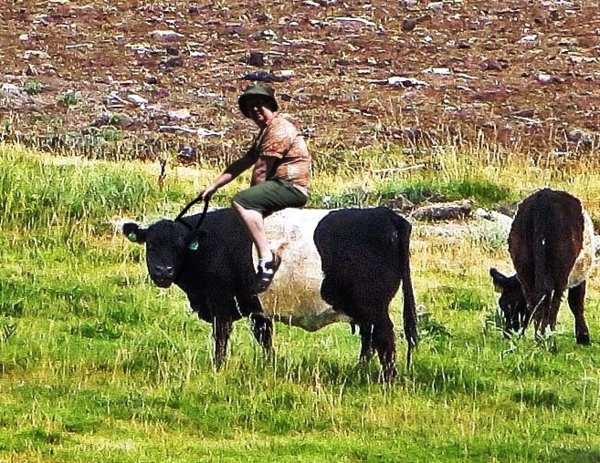 Thomas Toomey - Art for Sale | Pixels Merch