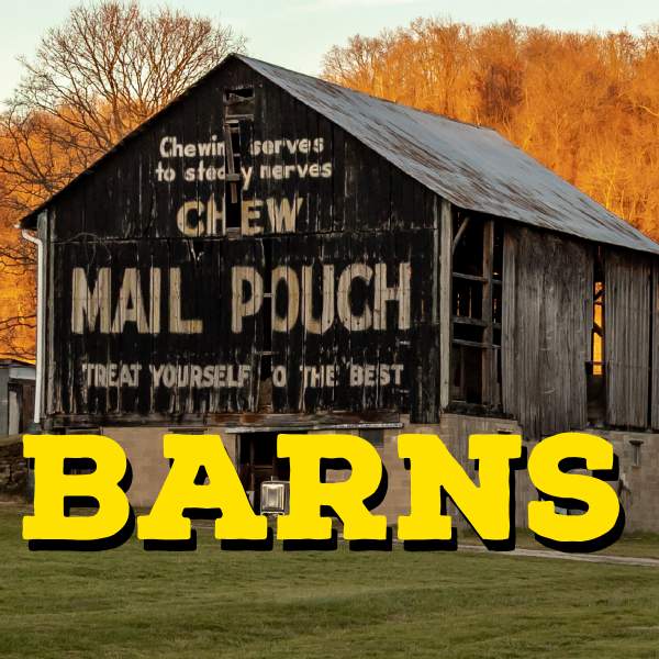 Barns Online Art Contest | Pixels Merch